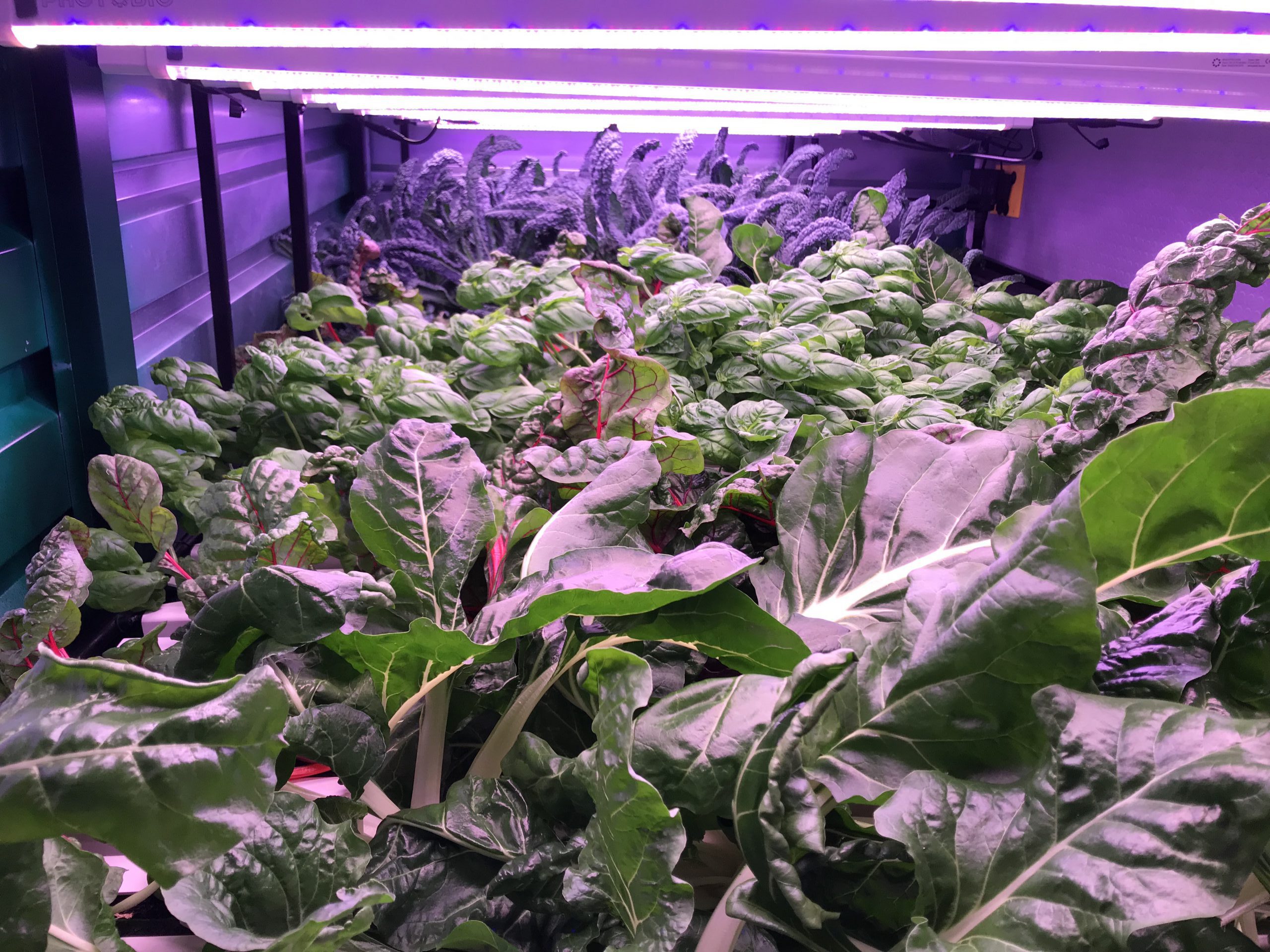 The Inspiring AgriTech Innovation Programme - Farm491