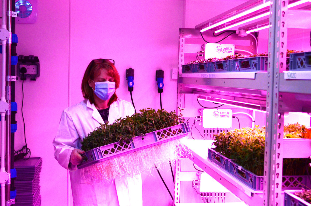 LettUs Grow, GrowStack, Digital Farming & Farm Urban collaborating to ...