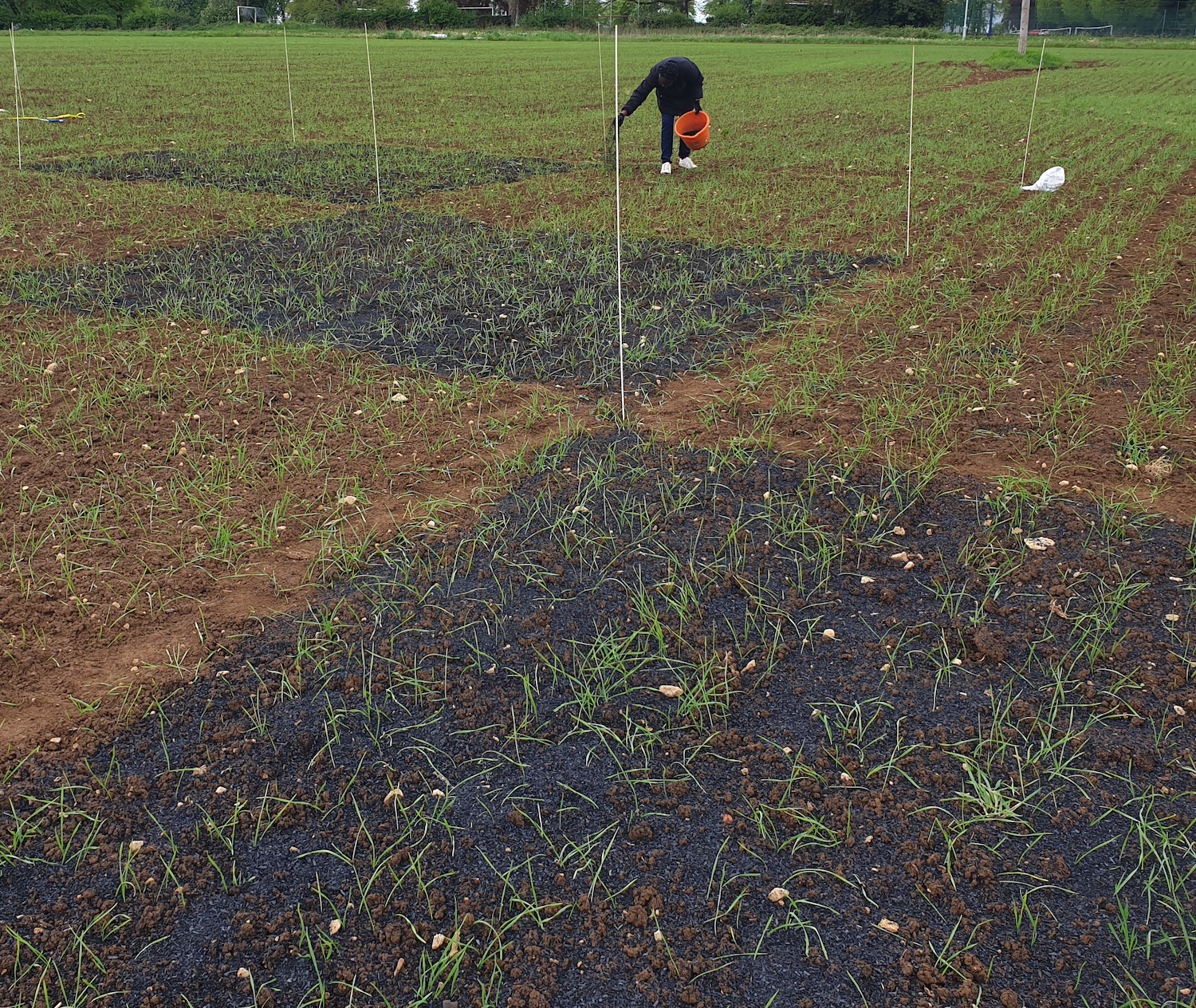 Farm491 Member, CapChar, start trials at The RAU | Farm491