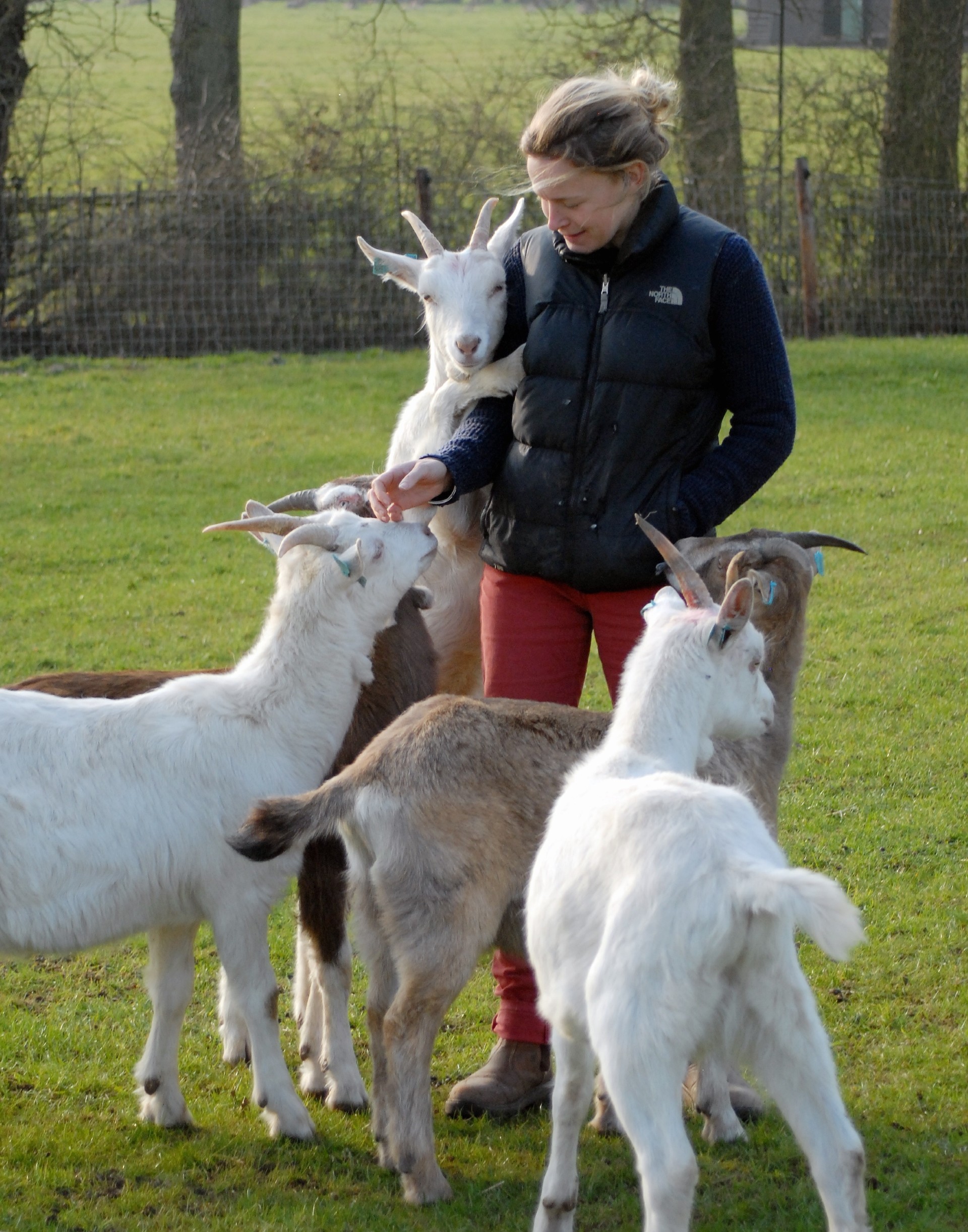 ‘Inspire Me’ – From Kid Meat to Community Impact – via Clarkson’s Farm ...